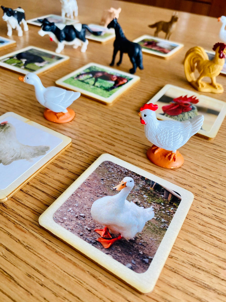 Miniature Farm Animals with Matching Cards - 2 Part Cards – PlaySkillsToys