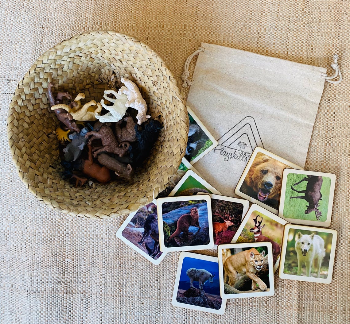 Montessori North American Wildlife Animal Matching Game for Preschoole ...