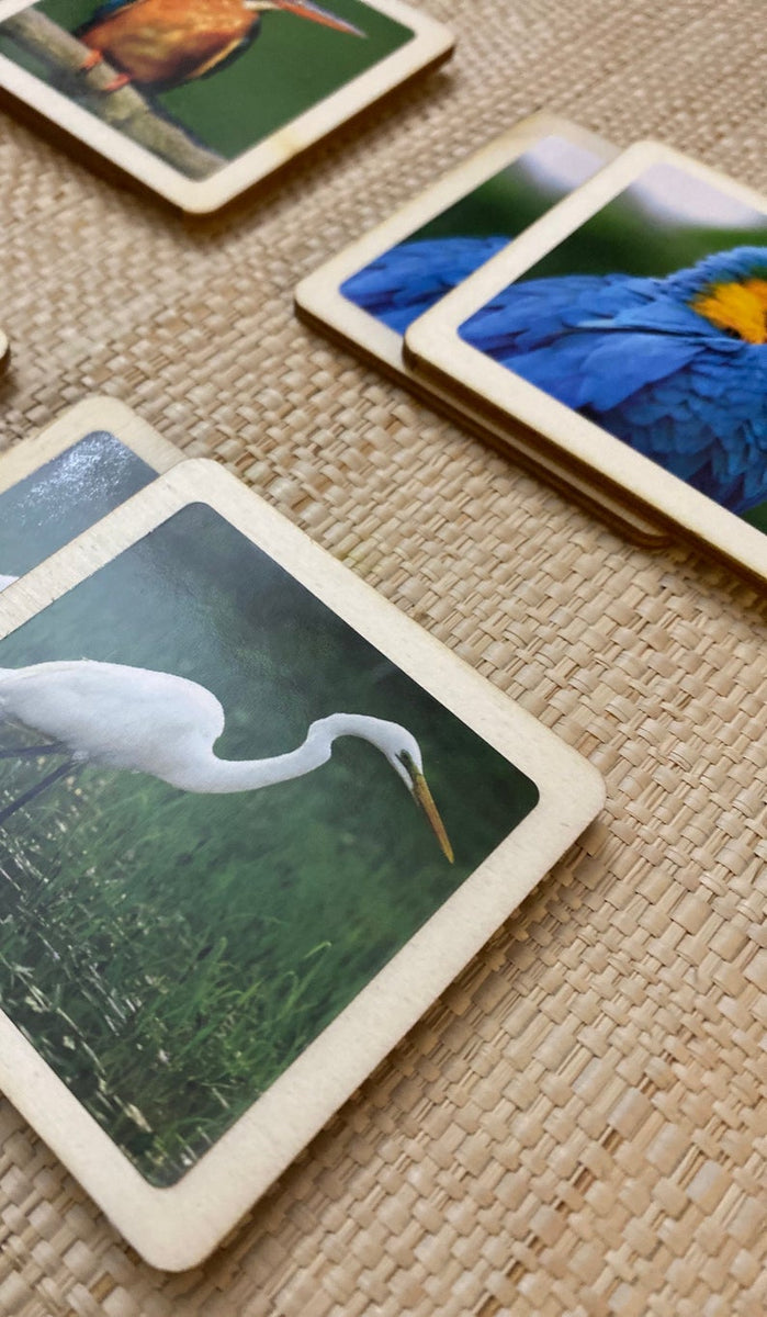 Match a Pair of Birds Wooden Memory Game – PlaySkillsToys