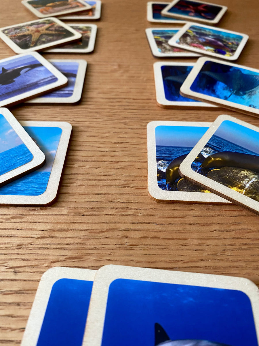 Montessori and Waldorf Inspired Sea Life Animal Matching and Memory Ga ...