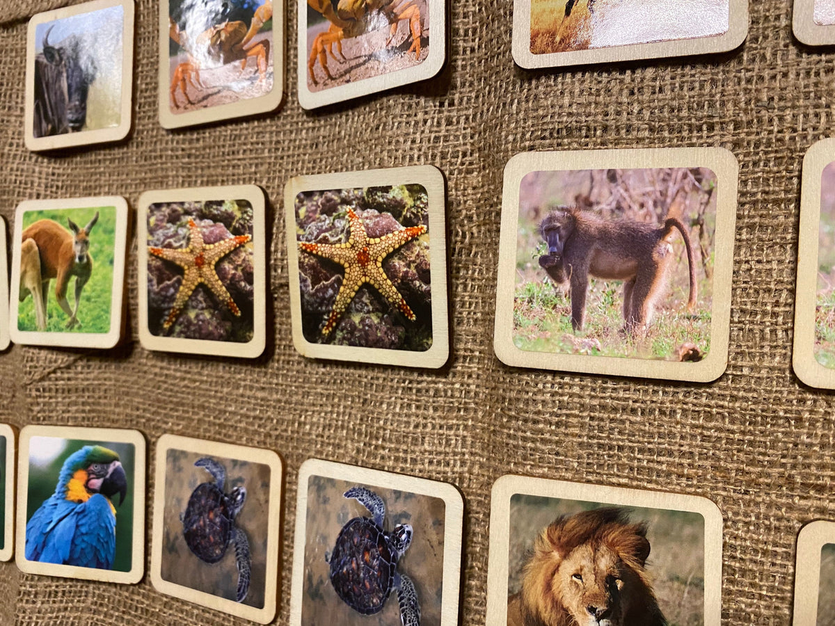 Montessori and Waldorf Inspired Animal Matching and Memory Game - 24 P ...