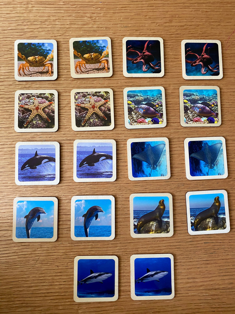 Montessori and Waldorf Inspired Sea Life Animal Matching and Memory Ga ...